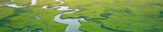 Mangroves Threats - ELAW: Environmental Law Alliance Worldwide